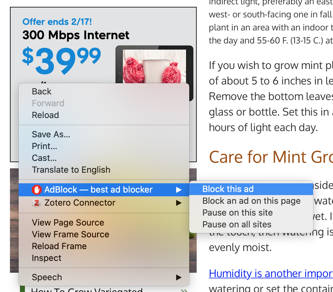 Design Critique: AdBlock (Google Chrome Extension) – IXD@Pratt