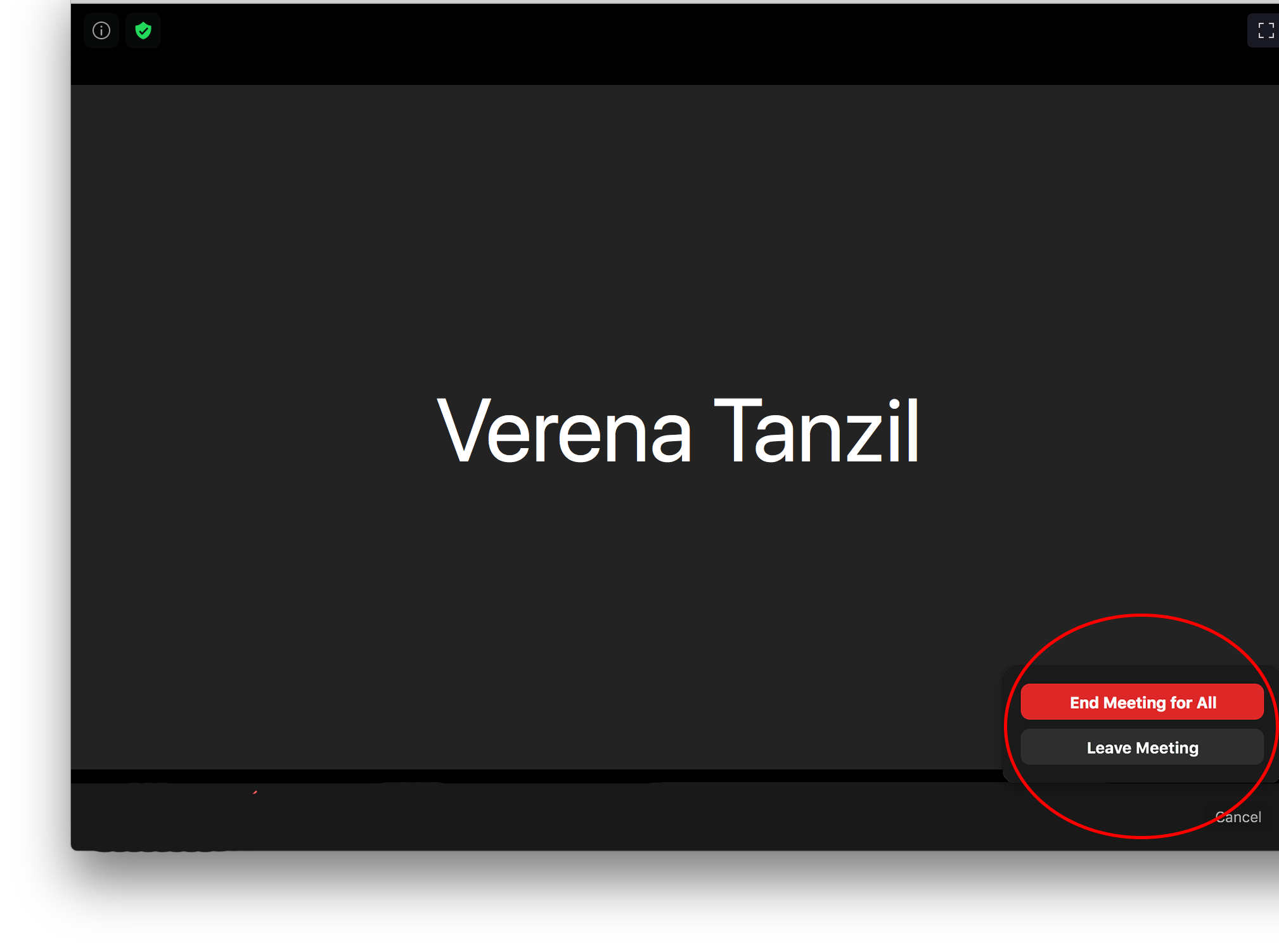 Design Critique: Zoom (Desktop App) – IXD@Pratt